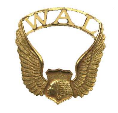 ATC Air Transport Command wings and mystery wings. - WING BADGES - U.S ...