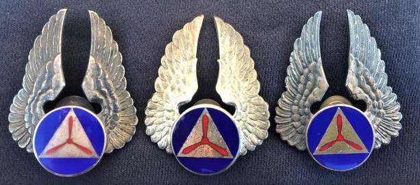 CAP cap badge question - WING BADGES - U.S. Militaria Forum