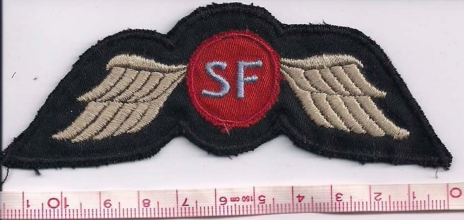 British jump wings issued to US OSS soldier - AIRBORNE, GLIDER TROOPS ...