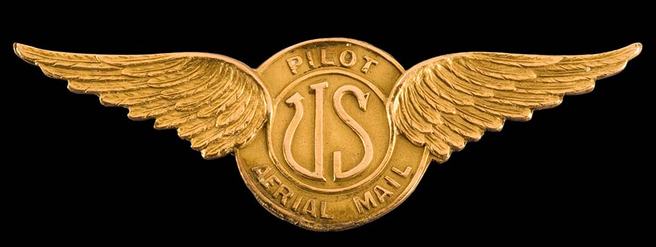Can Someone Tell Me what A Wing Is Worth - WING BADGES - U.S. Militaria ...