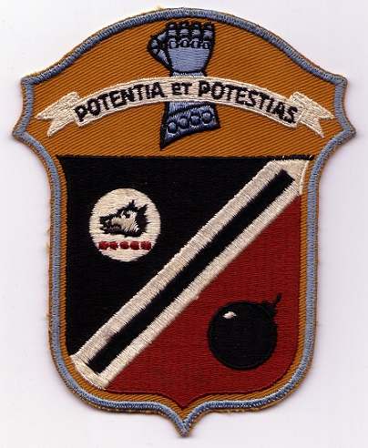 ID help? Potentia Et Potetias - CAN YOU IDENTIFY THIS PATCH? - U.S ...