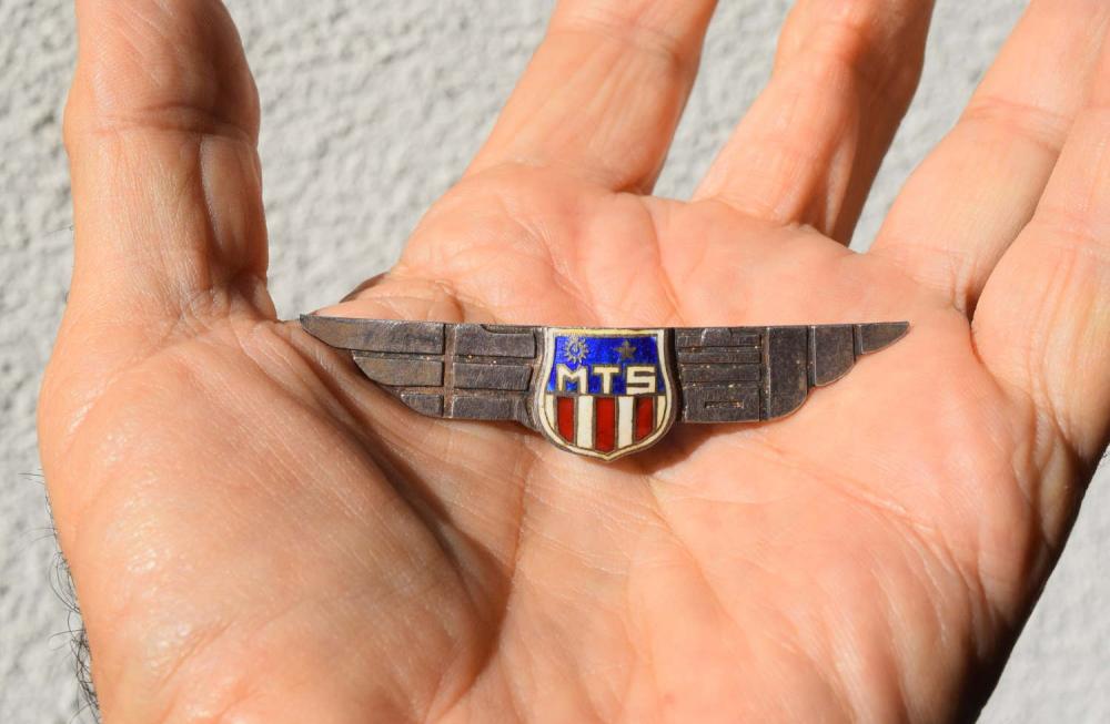 CBI MTS Wing - WING BADGES - U.S. Militaria Forum