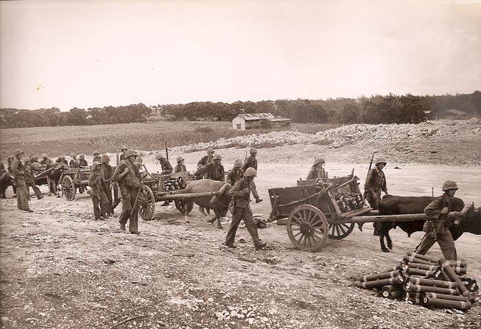 300 WWII Acme wire service photos - EPHEMERA, PHOTOGRAPHS & MILITARY ...