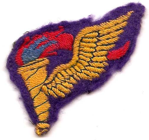 PATHFINDER PATCH - ARMY AND USAAF - U.S. Militaria Forum