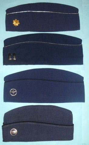 Garrison / Overseas cap collection - UNIFORMS - U.S. Militaria Forum