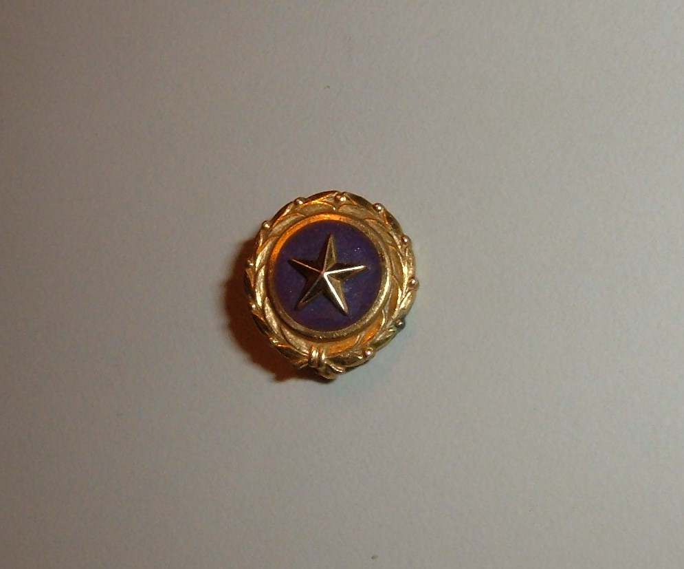 Issued Gold Star Mother's pin - HOMEFRONT & THE WAR EFFORT - U.S ...
