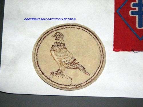 Pigeon Patch - ARMY AND USAAF - U.S. Militaria Forum