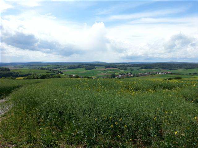 TASK FORCE BAUM-Relics of the Reussenburg - Page 3 - PRISONERS OF WAR ...