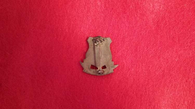 Thoughts on this 506th PIR DI pin - DISTINCTIVE UNIT INSIGNIA / UNIT ...