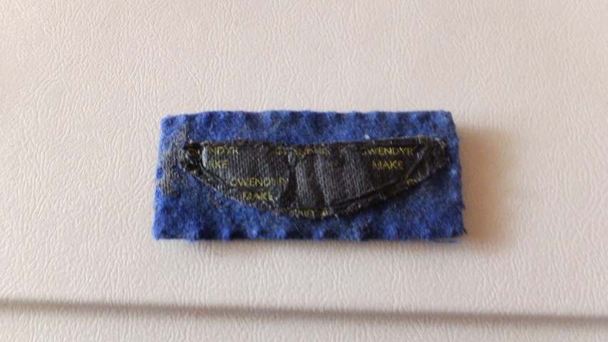 Blue backed bullion aircrew wing - WING BADGES - U.S. Militaria Forum
