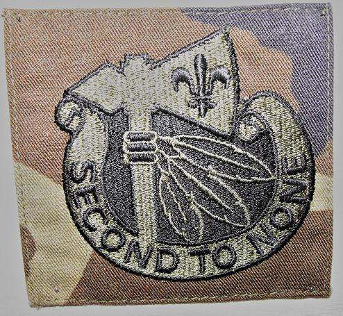 502nd Inf BDU Pocket Patch - ARMY AND USAAF - U.S. Militaria Forum