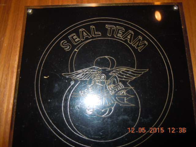 Seal Team 8 Logo