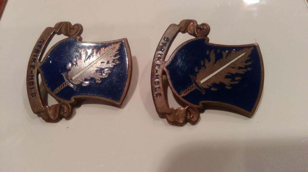 504th PIR Insignia - DISTINCTIVE UNIT INSIGNIA / UNIT CRESTS - U.S ...