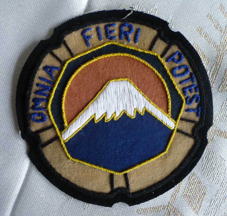 US Army Japan patch - ARMY AND USAAF - U.S. Militaria Forum