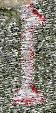 black outlined Big Red One patch - ARMY AND USAAF - U.S. Militaria Forum