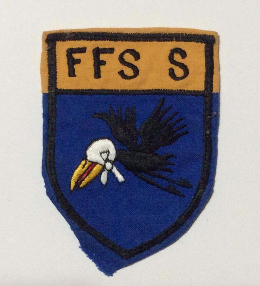 Unknown "FSS S" patch with crow, possibly USAF - CAN YOU IDENTIFY THIS ...