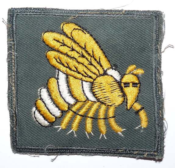 Unknown Insect Patch: Free to young collector. - CAN YOU IDENTIFY THIS ...