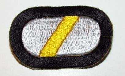 Patches in action: Photos of SSI being worn by the troops. - Page 172 ...