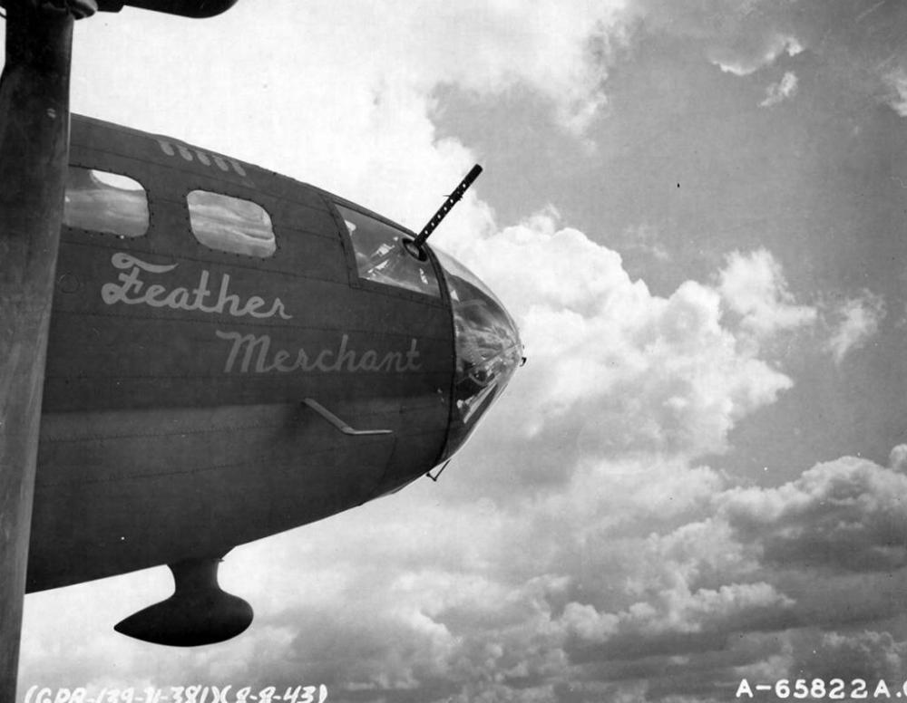 The Feather Merchant Wing - WING BADGES - U.S. Militaria Forum