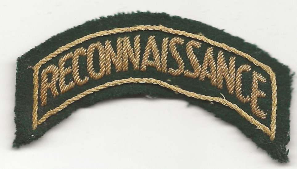 78th Division Reconnaissance tab for review - ARMY AND USAAF - U.S ...