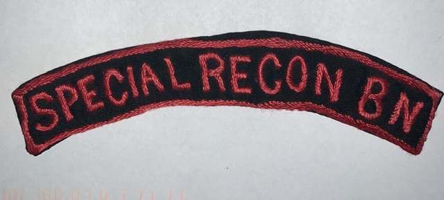 New additions—3rd OG/2671 Special Recon/SOG Snakebite - ARMY AND USAAF ...