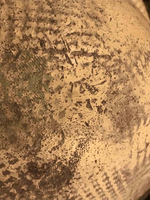 SOCOM ACH? - MODERN COMPOSITE HELMETS - U.S. Militaria Forum