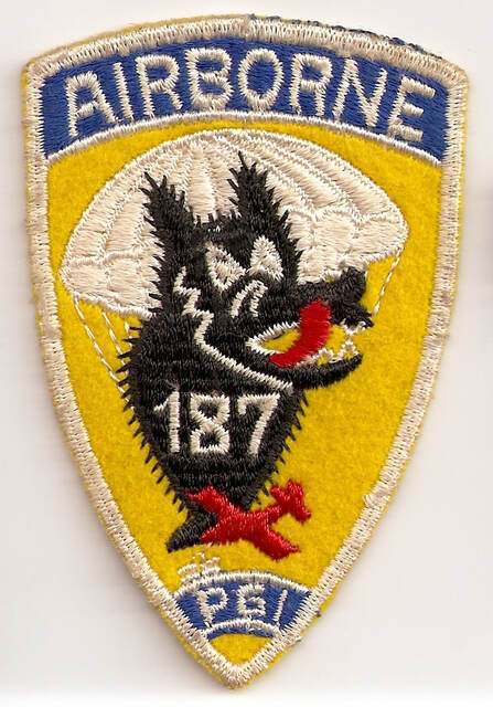 Not wrong on this 187th - ARMY AND USAAF - U.S. Militaria Forum