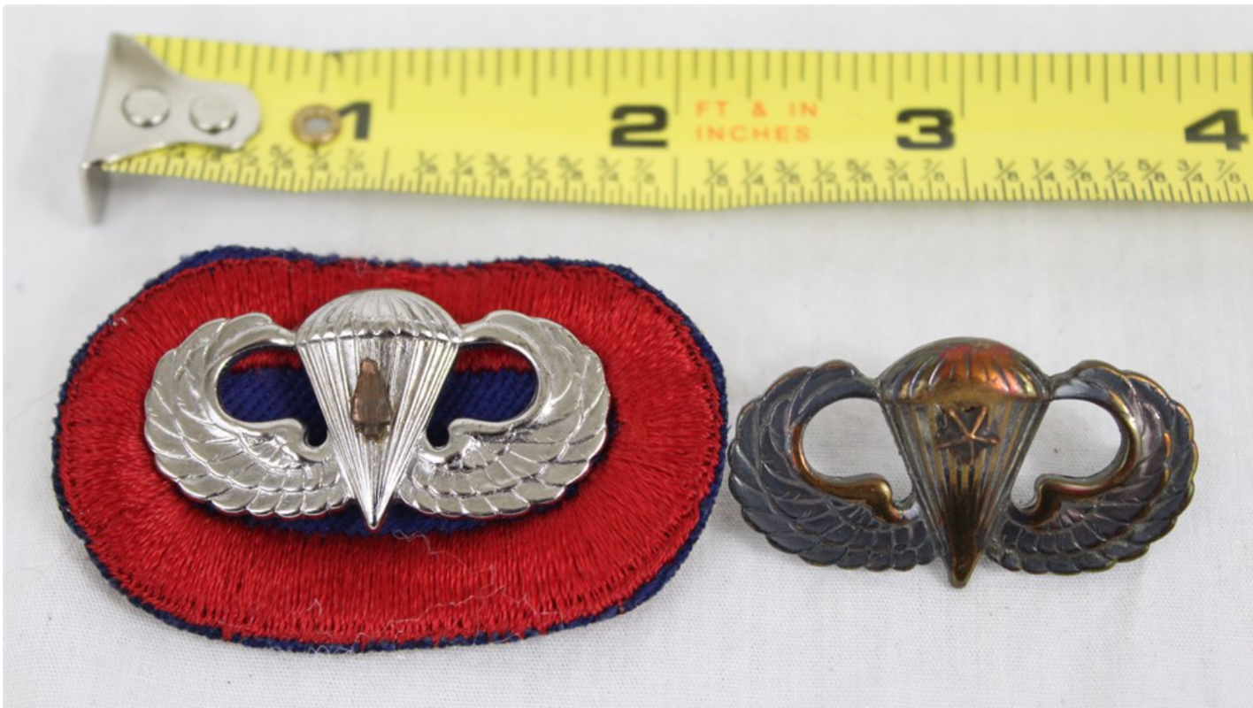 Two wings, one invasion arrowhead with oval the other combat star ...