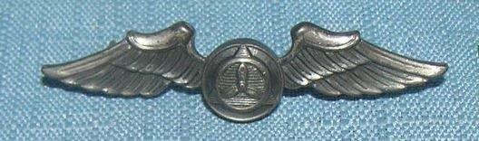 WING ID - Civil Air Patrol wing - WING BADGES - U.S. Militaria Forum