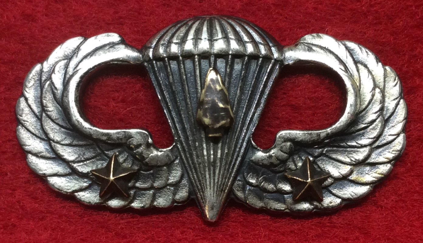 Two wings, one invasion arrowhead with oval the other combat star ...