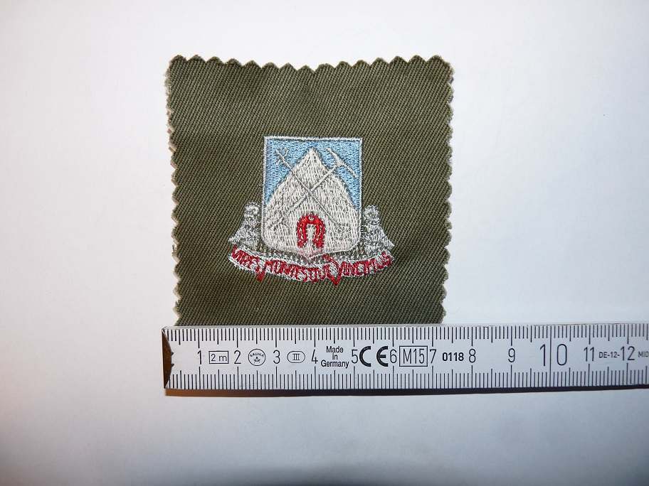 10th Infantry Division / 10th Mountain Division - ARMY AND USAAF - U.S ...