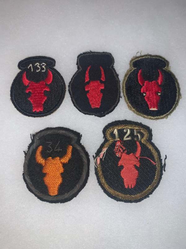 A years worth of 34th Division patches, and I didn't get them all ...