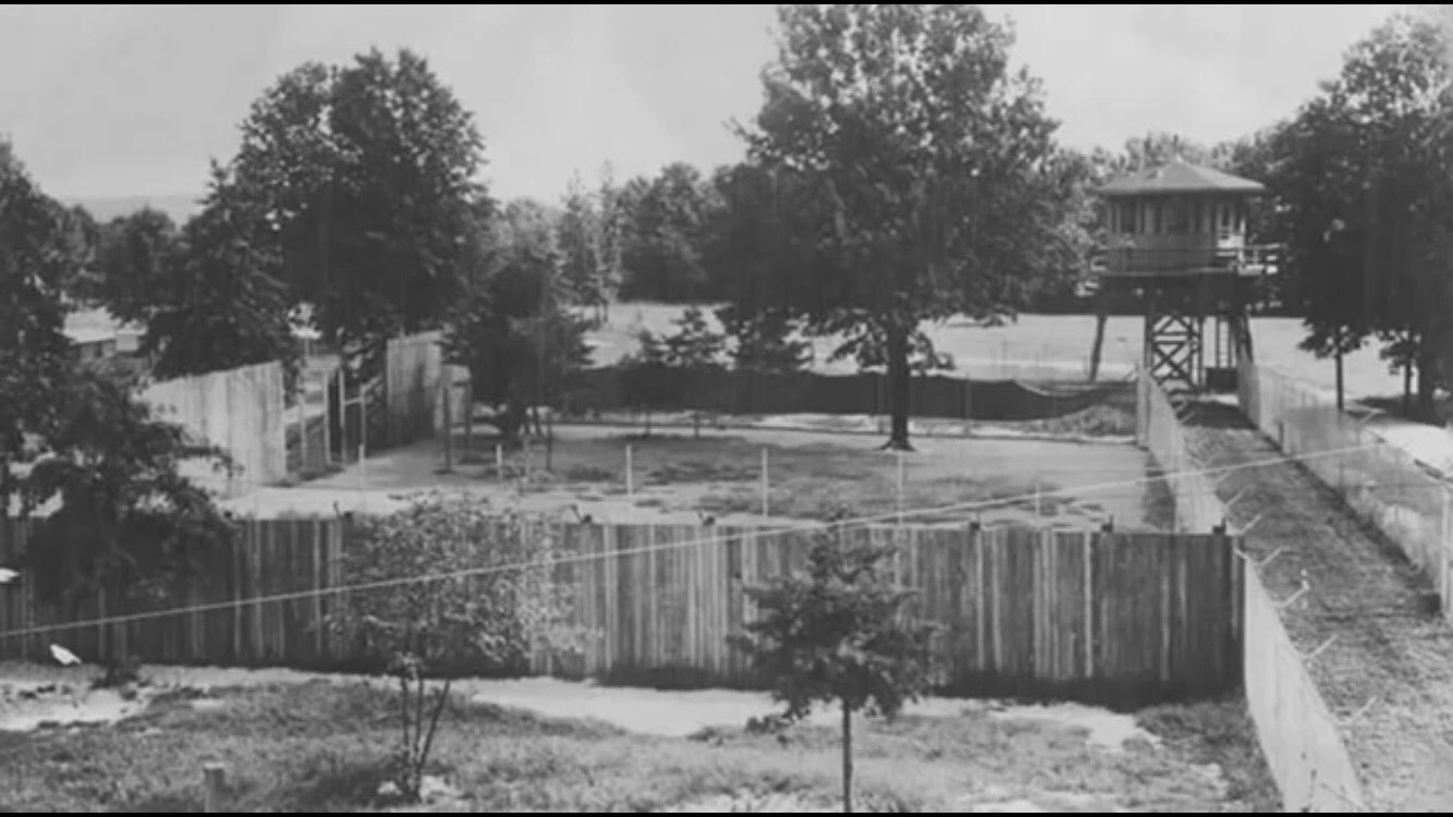 Homefront guards at Fort Hunt, VA? (P.O. Box 1142) - MILITARY HISTORY ...