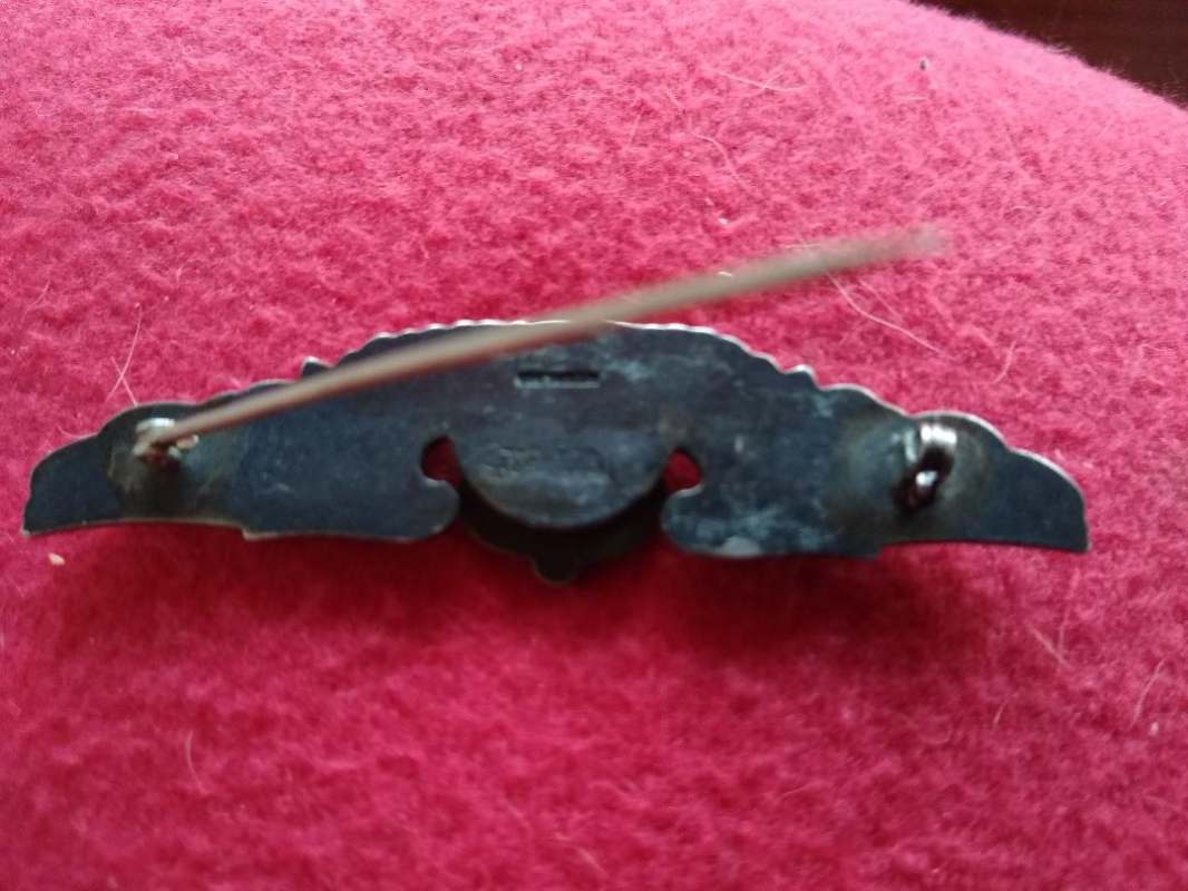 Solomon's wing ? Acorn-shaped "USN 20" custom wing? - WING BADGES - U.S ...