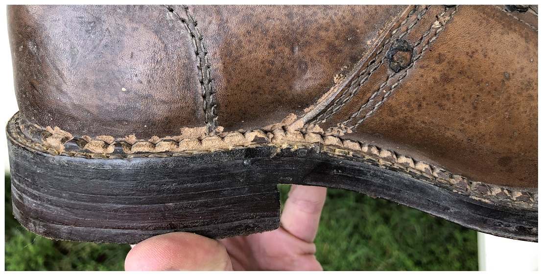 Bugs / moth that are attacking leather ? - PRESERVATION - U.S ...