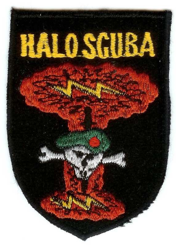 SADM Pocket Patches/Badges - MISCELLANEOUS / OTHER - U.S. Militaria Forum