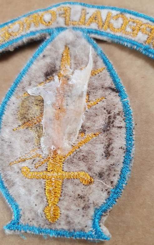 SF Patches Question - ARMY AND USAAF - U.S. Militaria Forum