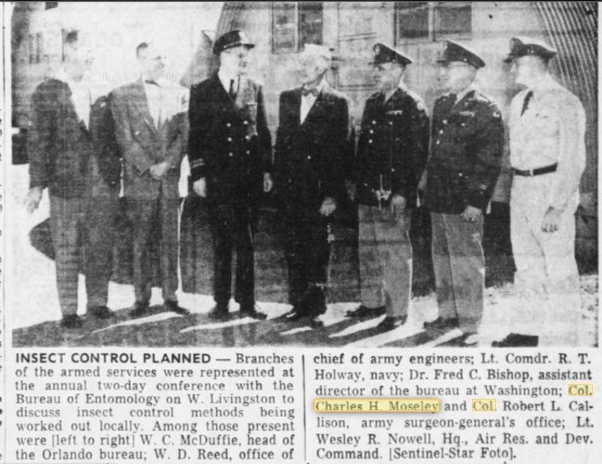 Campaign Chair ID's to Colonel - Page 2 - FIELD & PERSONAL GEAR SECTION ...