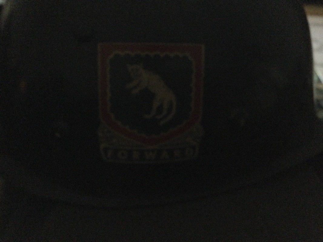 Forward patch - ARMY AND USAAF - U.S. Militaria Forum