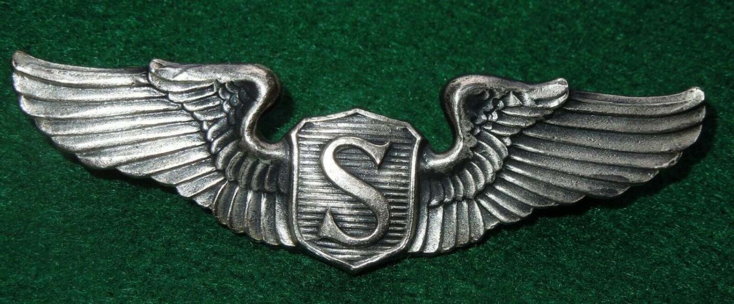 IS THIS WING GOOD? Post your requests here! - Page 35 - WING BADGES - U ...