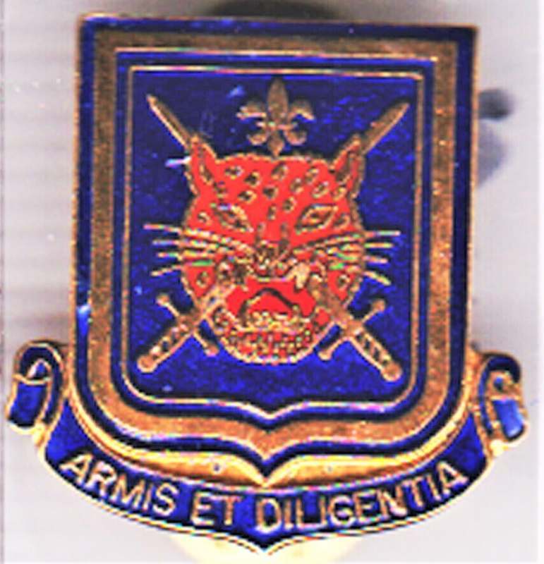 UNKNOWN UNIT D.U.I. : Artesta 70th Armored Infantry - DISTINCTIVE UNIT ...