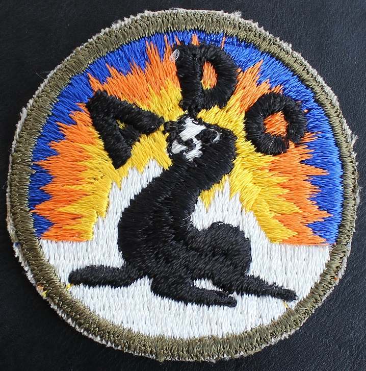 ADC Patch Question - ARMY AND USAAF - U.S. Militaria Forum