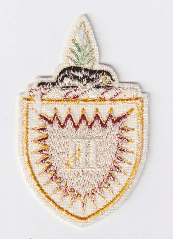 Pineapple Army 3rd US Engineer Regiment "The Beavers" T.H. 1920-1941 ...