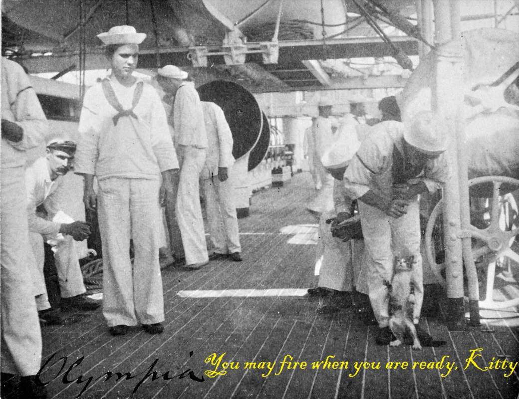 Cats in the Military - Page 2 - ANIMALS IN SERVICE - U.S. Militaria Forum