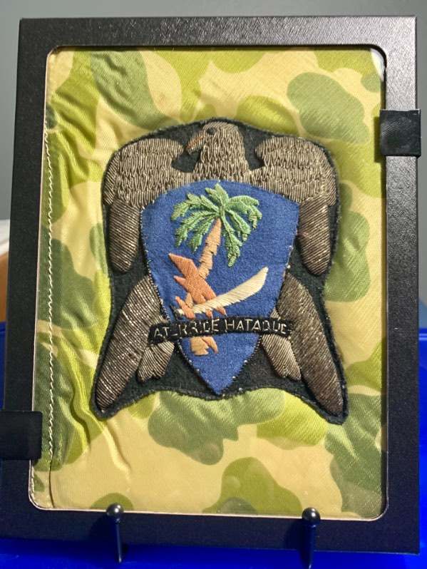 551st Parachute Infantry Battalion pocket patch - ARMY AND USAAF - U.S ...