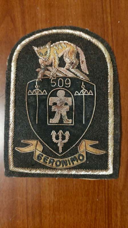 509 PIR Type 1 Bullion Repro. New to me - ARMY AND USAAF - U.S ...