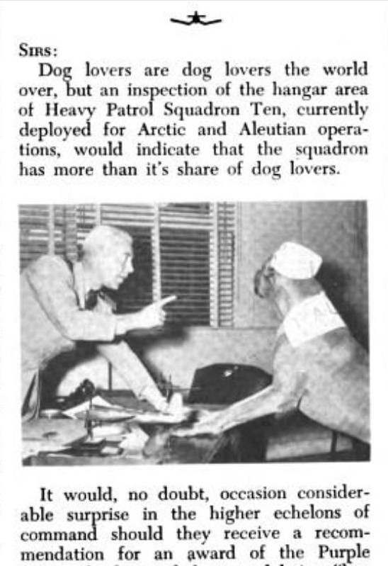 scarce Heavy Patrol Squadron Ten patch - NAVY, COAST GUARD AND OTHER ...