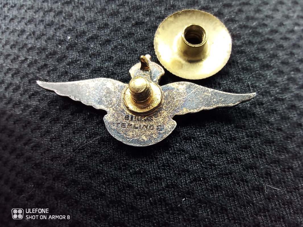 Tribute to the US pilots of the RAF Ferry Command - WING BADGES - U.S ...