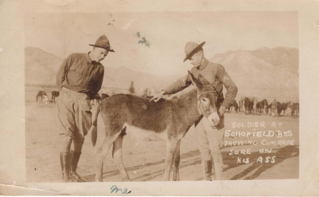 “U.S.Q.M.D./ P.T” Mule Pack Blanket - FIELD & PERSONAL GEAR SECTION - U ...