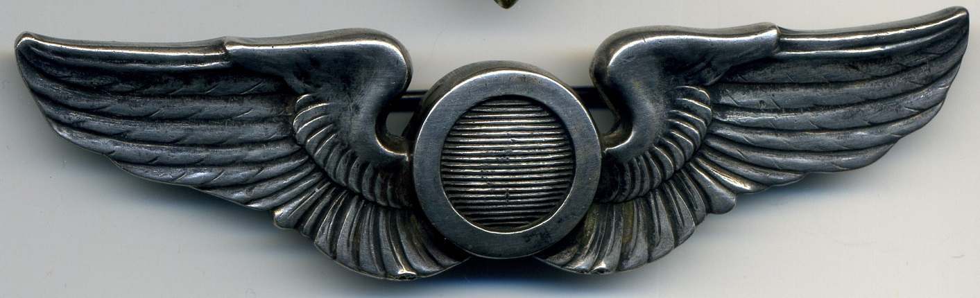 Observer Badge - WING BADGES - U.S. Militaria Forum